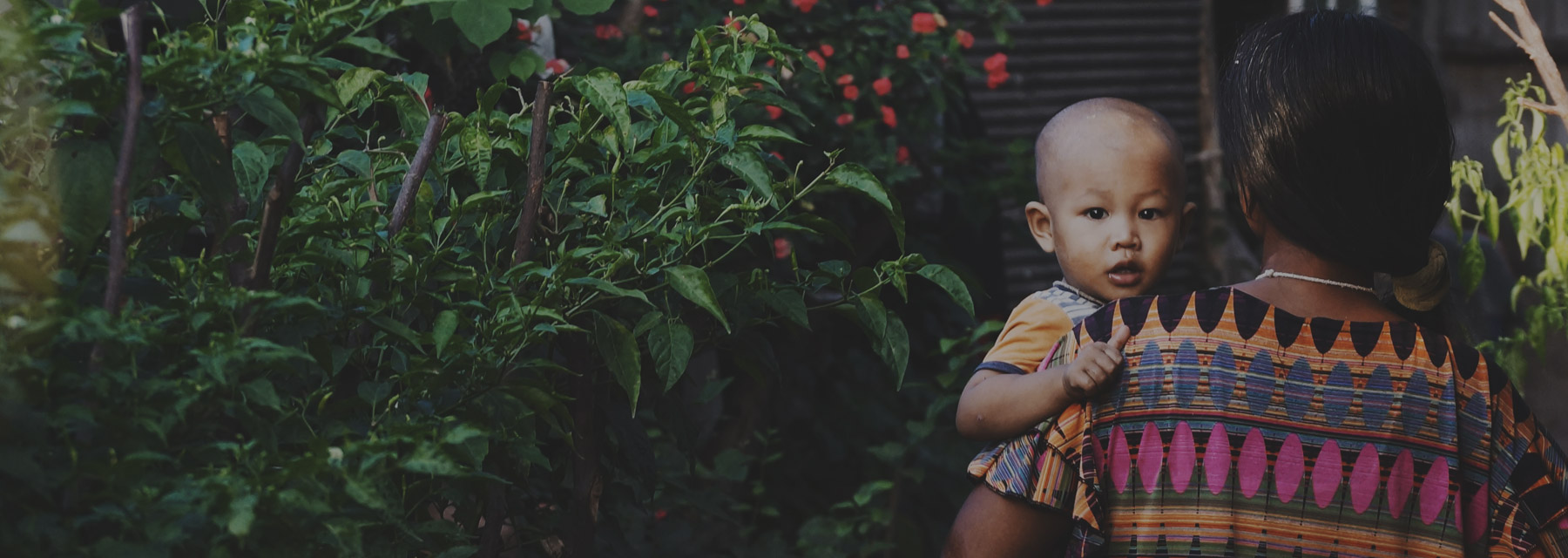 Pop-Up Shop | Kent Sheep Rescue Sanctuary